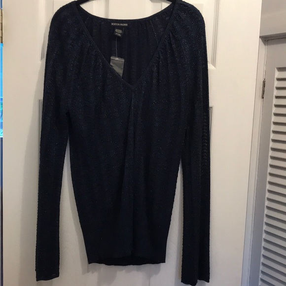 Boston Proper | Sweaters | Boston Proper V Neck Sweater | Poshmark